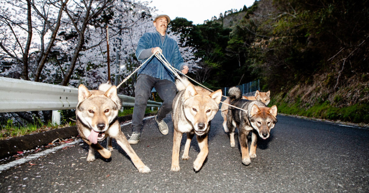 In photos: Ghost houses and wild boar hunting in back-to-the… | Huck