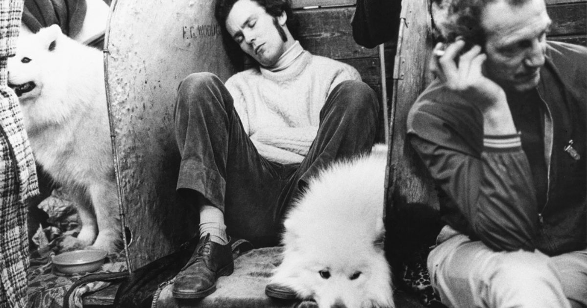 Vintage photos of dogs to warm your chilly bones | Huck