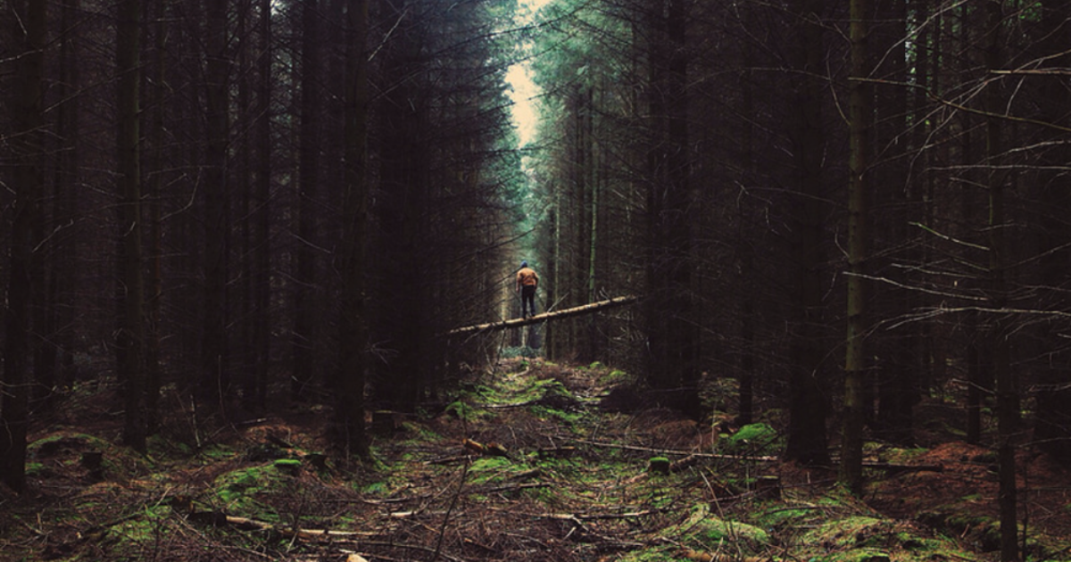 If You Leave photography magazine launch and showcase at 71a | Huck