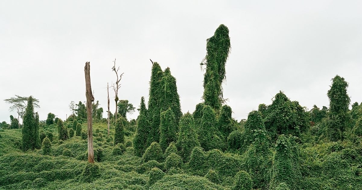 The eerie impact of humanity on nature, in photos | Huck