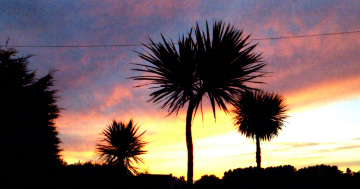 Laurence Bascle | Huck