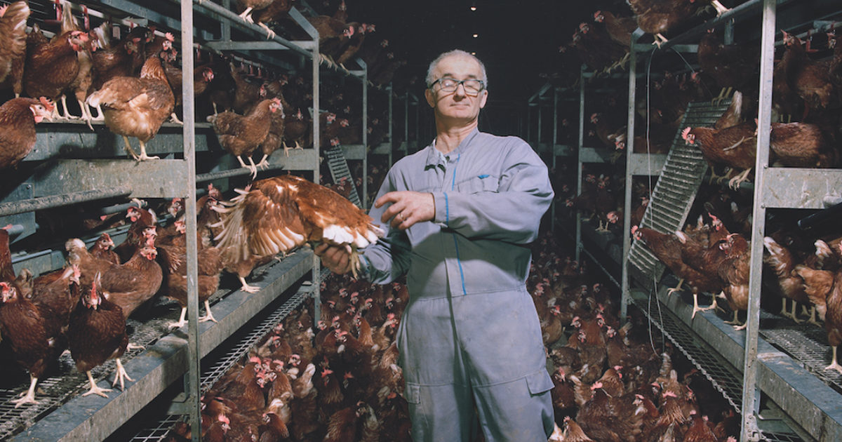 Mark Neville wants his work to make a difference | Huck