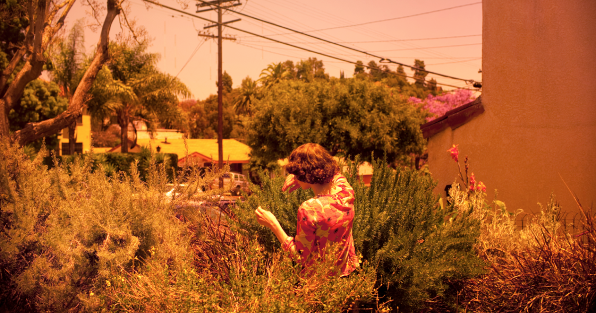 Miranda July's new book and why she's the queen of… | Huck