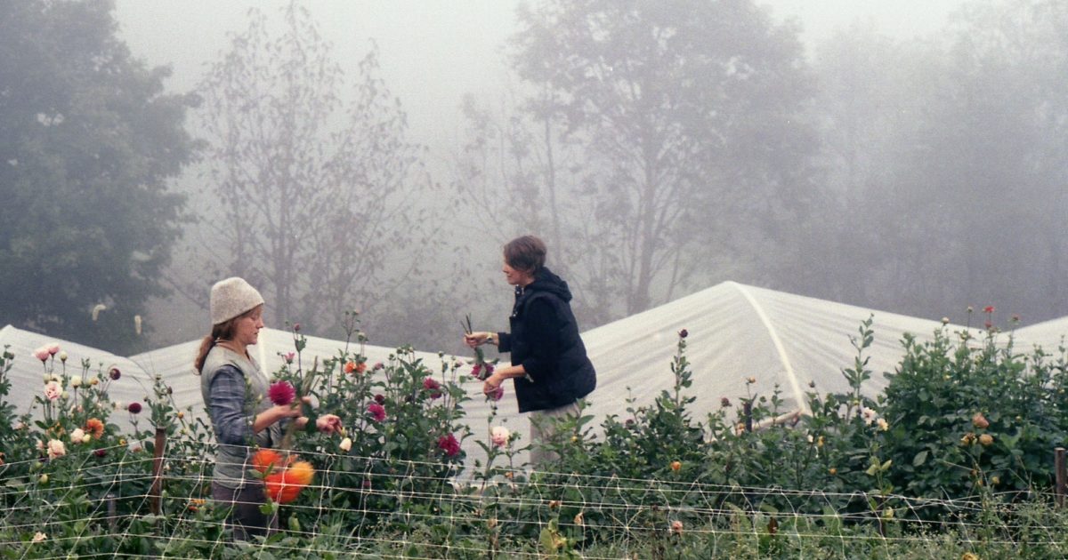Dreamy portraits of America’s forgotten women farmers | Huck
