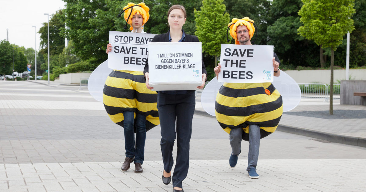 Activists threatened with legal action for defending bees | Huck