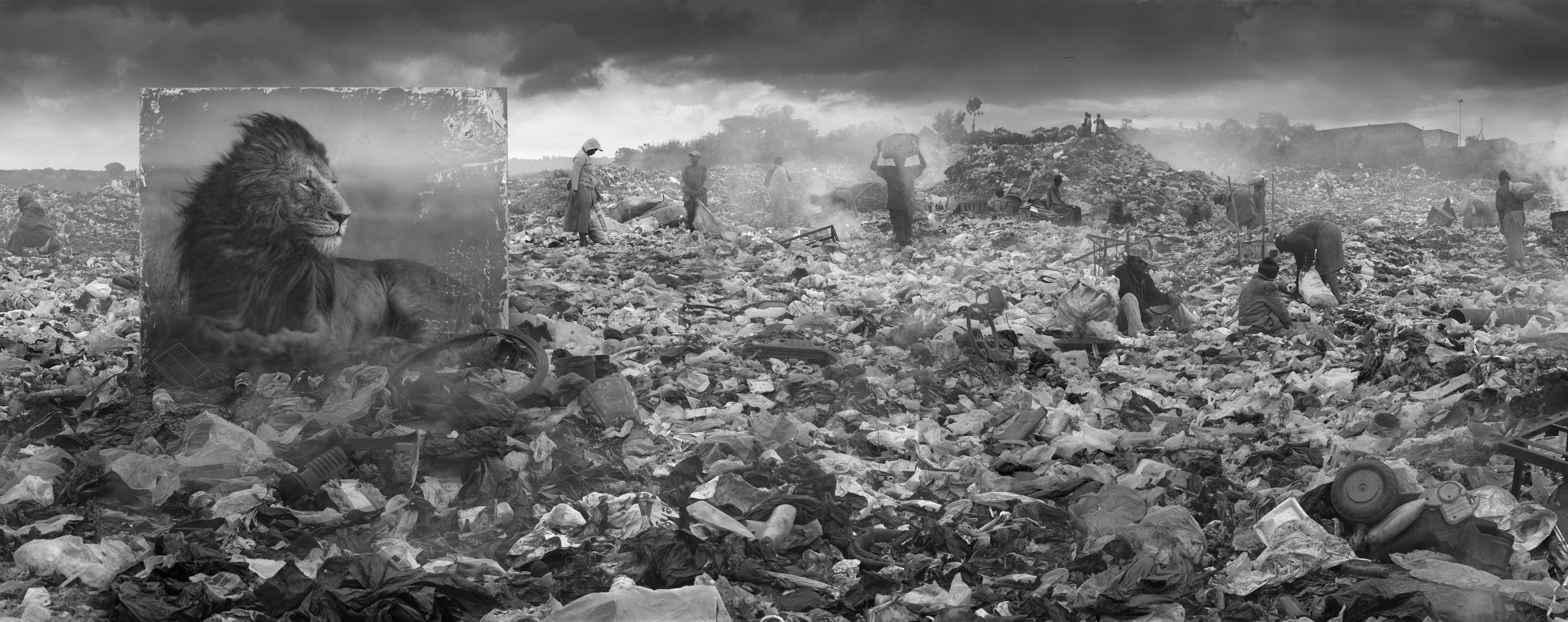 The photographer documenting man’s destruction of the natural… | Huck