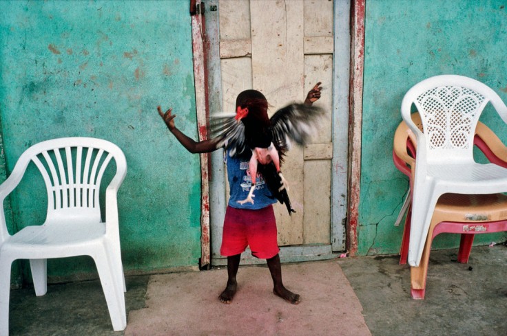 Alex Webb’s vivid street scenes capture life at its most poetic | Huck