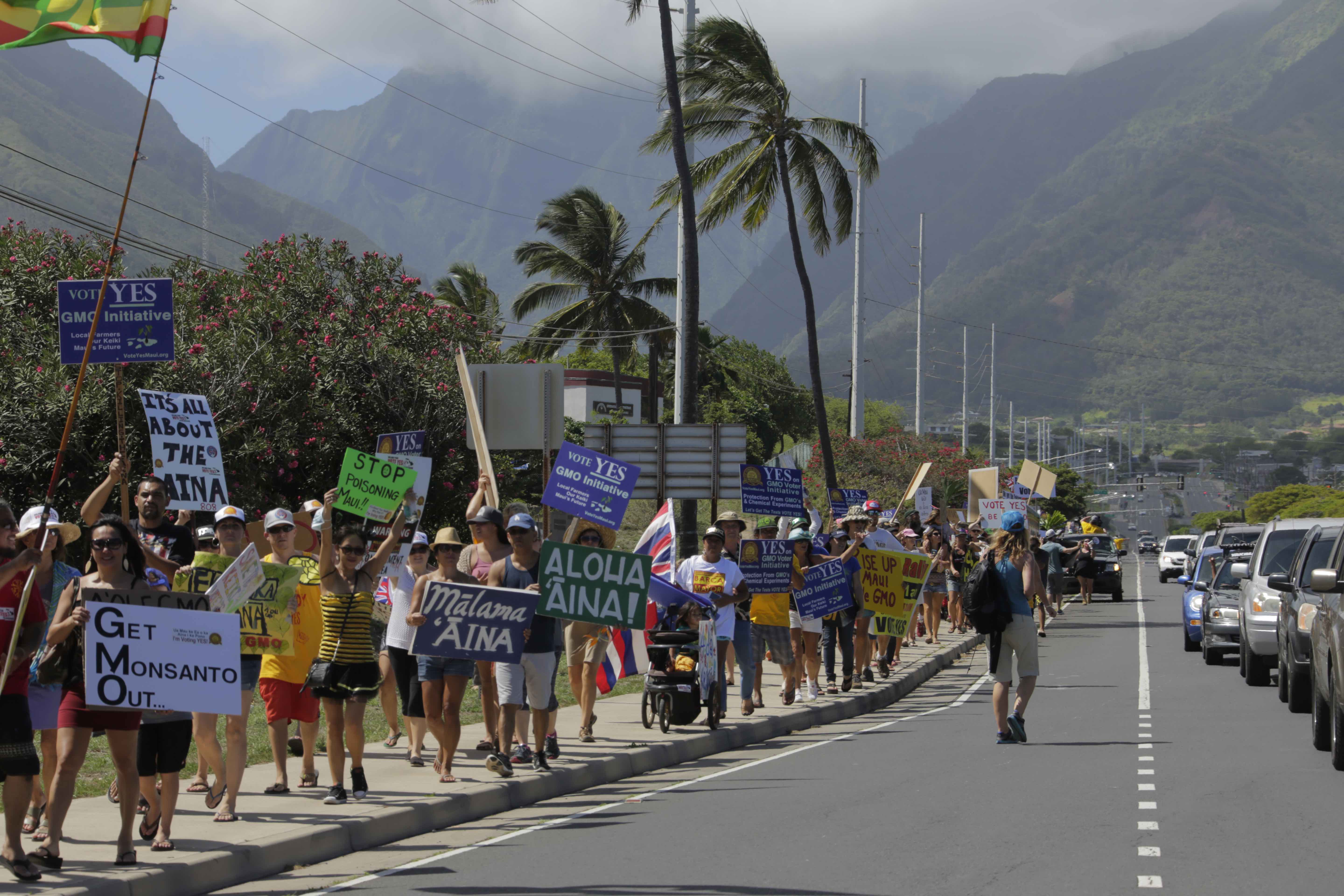 The Hawaiian activists fighting GMOs to protect their ancient… | Huck