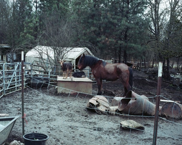 Photos that capture the unruly beauty of Northern California | Huck